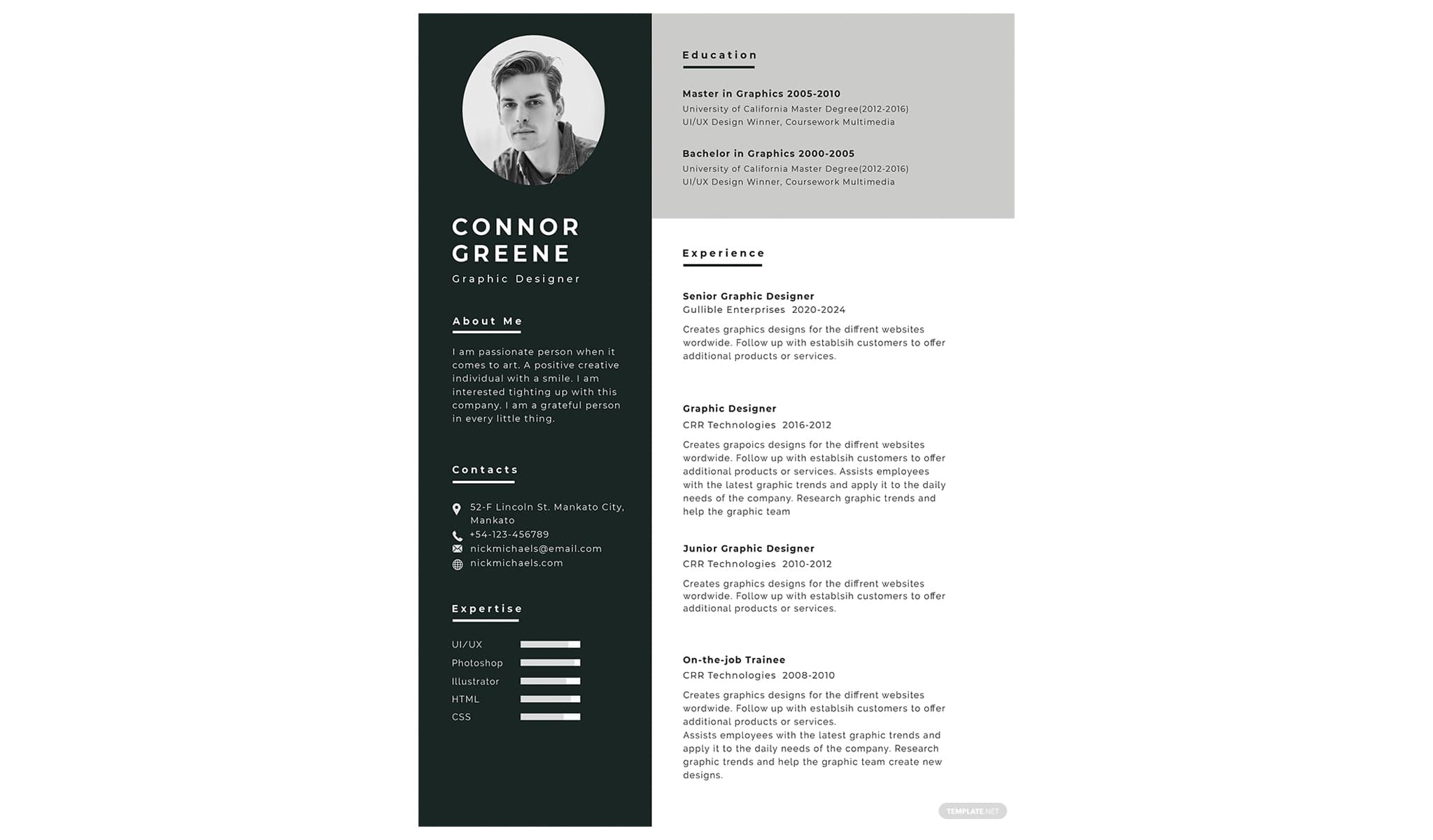 The 100 InDesign Resume Templates You Need in 2024 | Redokun Blog