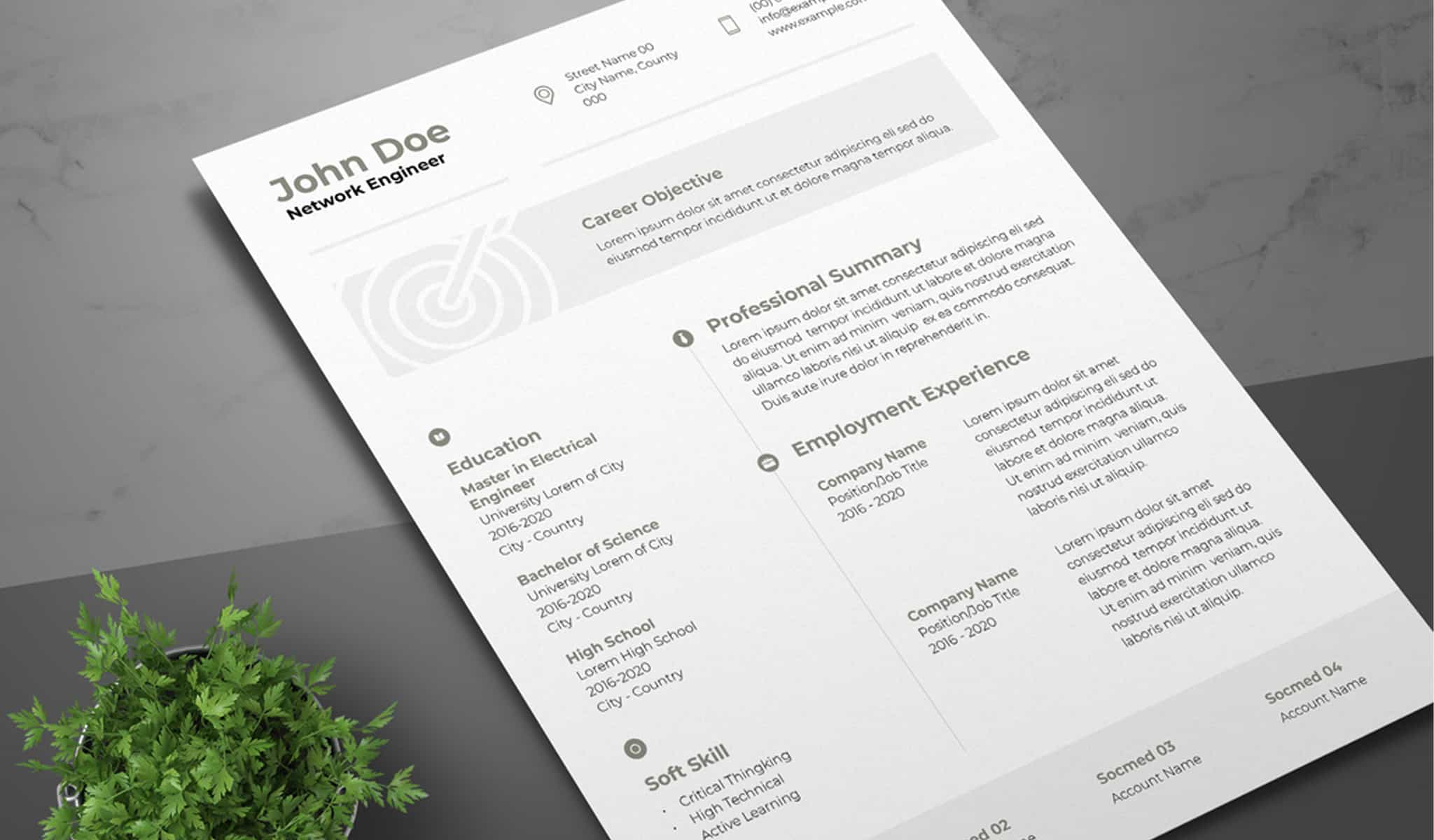 The 100 InDesign Resume Templates You Need in 2024 | Redokun Blog