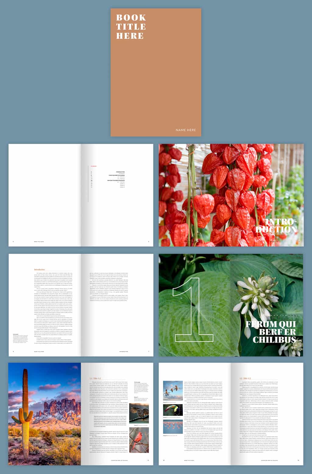 80 Cool Zines and InDesign Magazine Templates (2024) | Redokun Blog