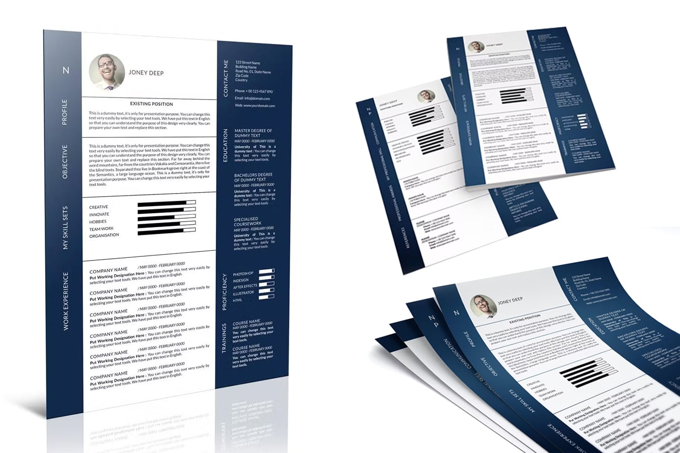 The 100 InDesign Resume Templates You Need in 2024 | Redokun Blog