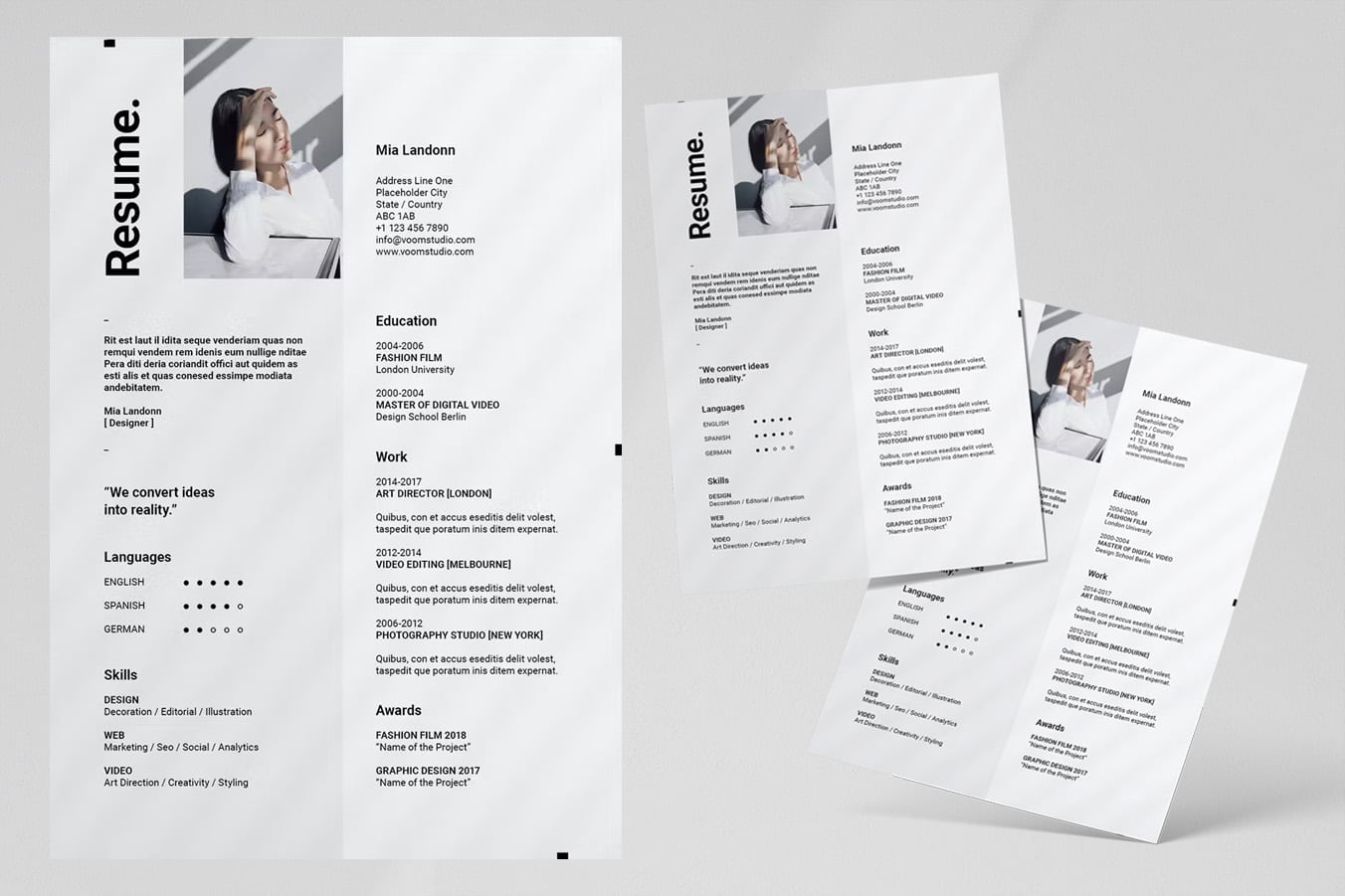 The 100 InDesign Resume Templates You Need in 2024 | Redokun Blog