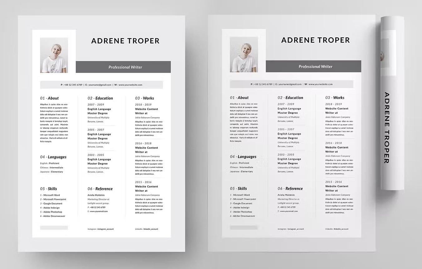 The 100 InDesign Resume Templates You Need in 2024 | Redokun Blog